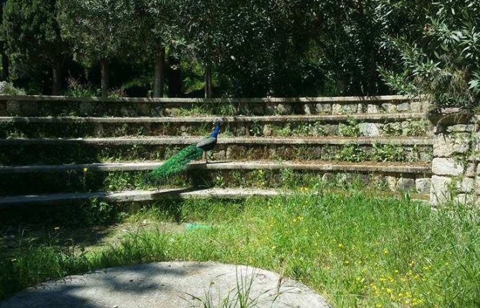 Rodini Park In Rhodes