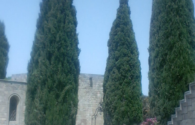 Filerimos In Rhodes | The Island Of Rhodes